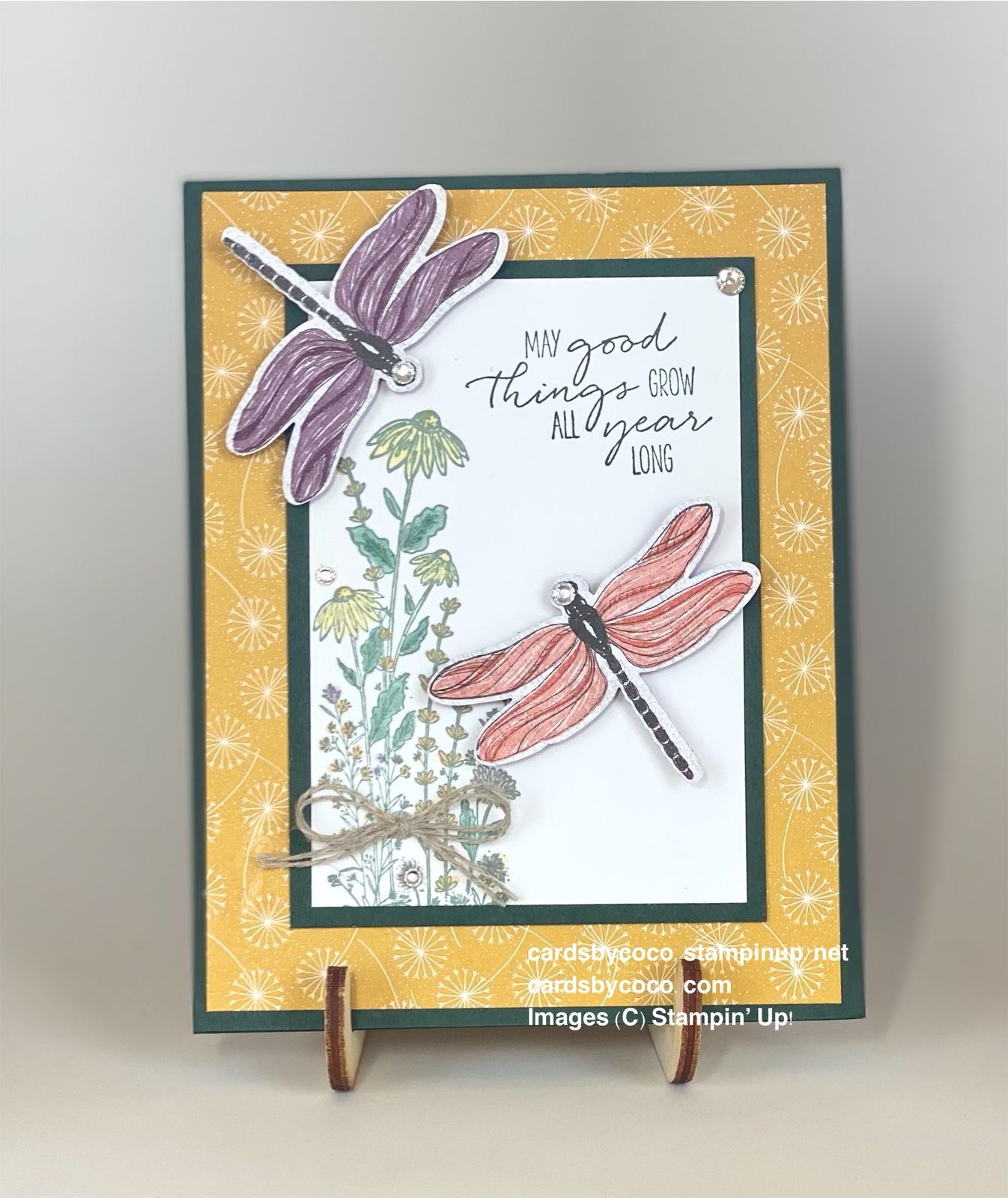 Dragonfly Garden Bundle Cardsbycoco